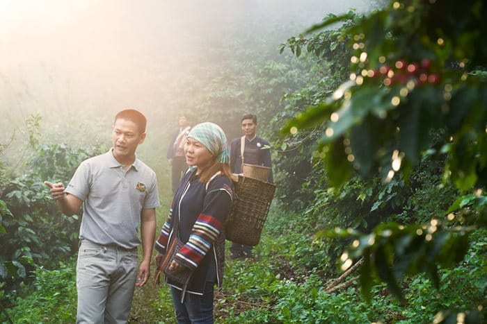 Thailand’s PTTOR to build coffee R&D centre to meet rising Café Amazon ...