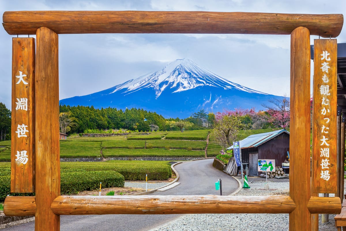 The remarkable ascent of matcha in coffee shops