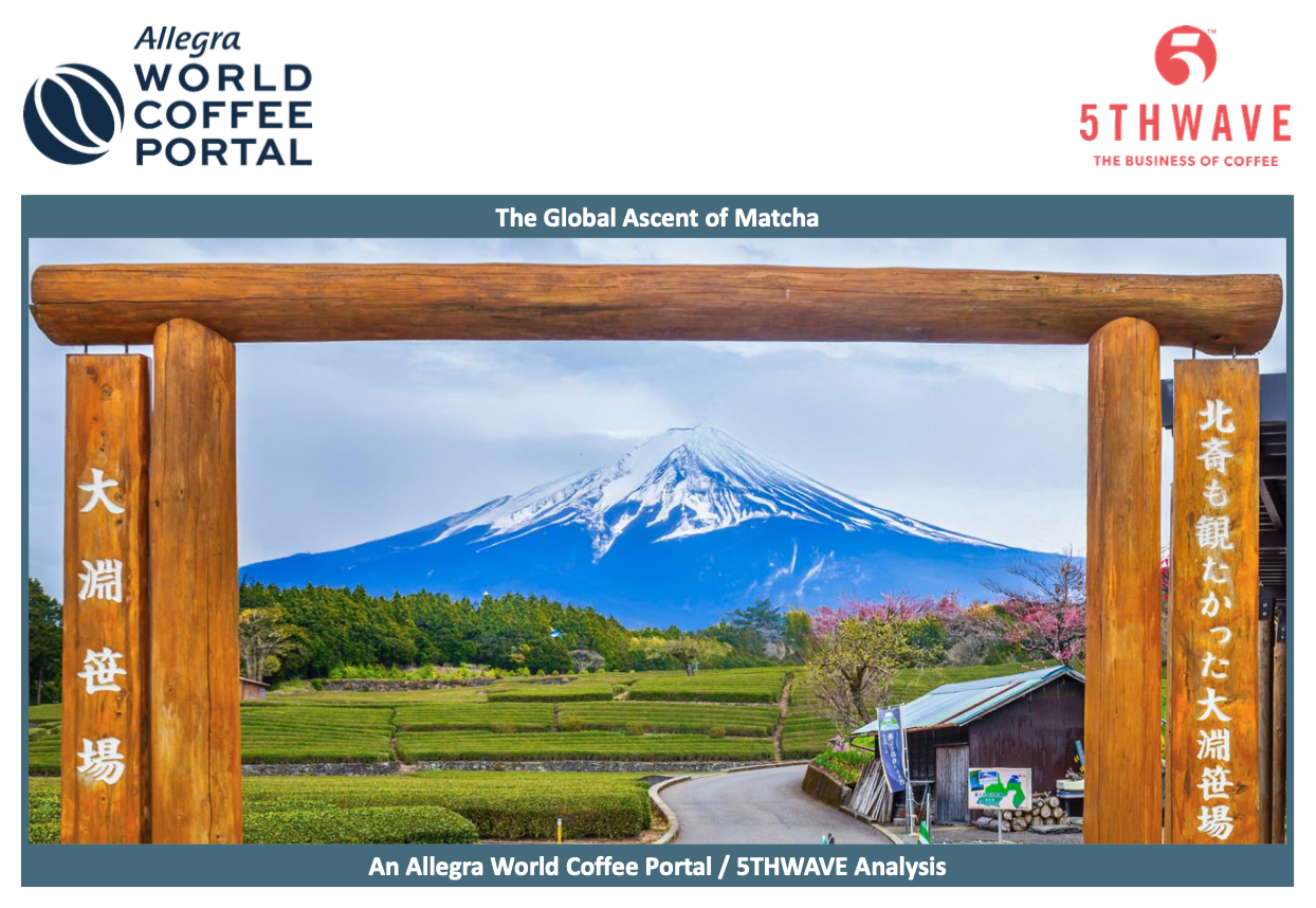 The Matcha Report 2026: Exclusive download for World Coffee Portal ...
